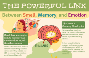The Powerful Link Between Smell, Memory, and Emotion - Shit Hot ...